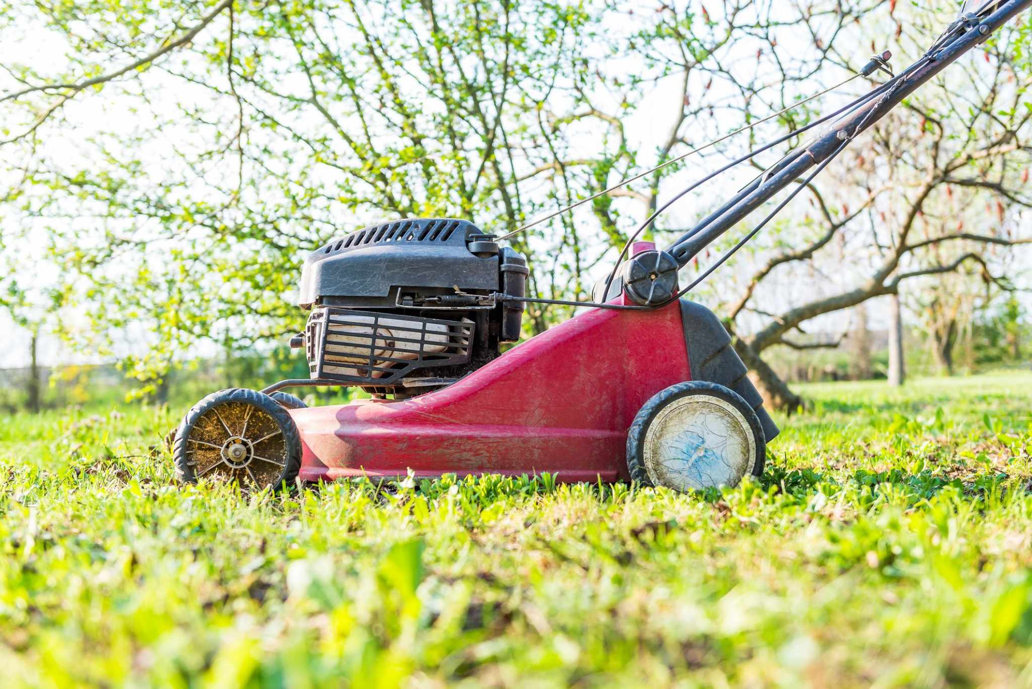 Home Depot lawn mower that will be perfect for your garden