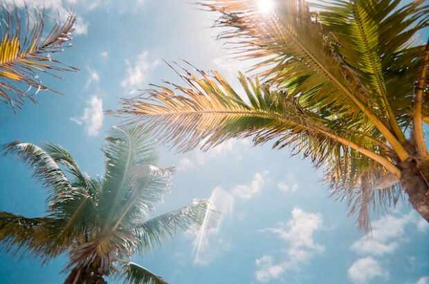 6 Reasons to Visit Florida in Spring - Love, Travel, and Life